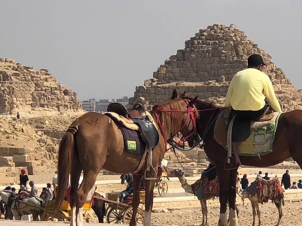 What’s Inside the Pyramids of Egypt? – Frances Aylor